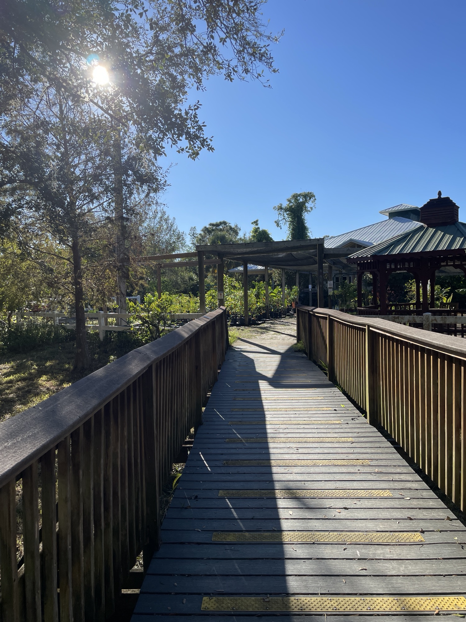 Field Notes From ECHO Farm – Mahaba Farms